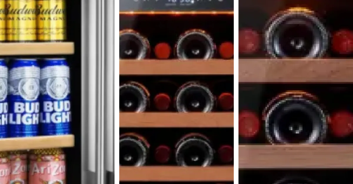 Which dual zone wine coolers to choose? Top 31 (June 2026)